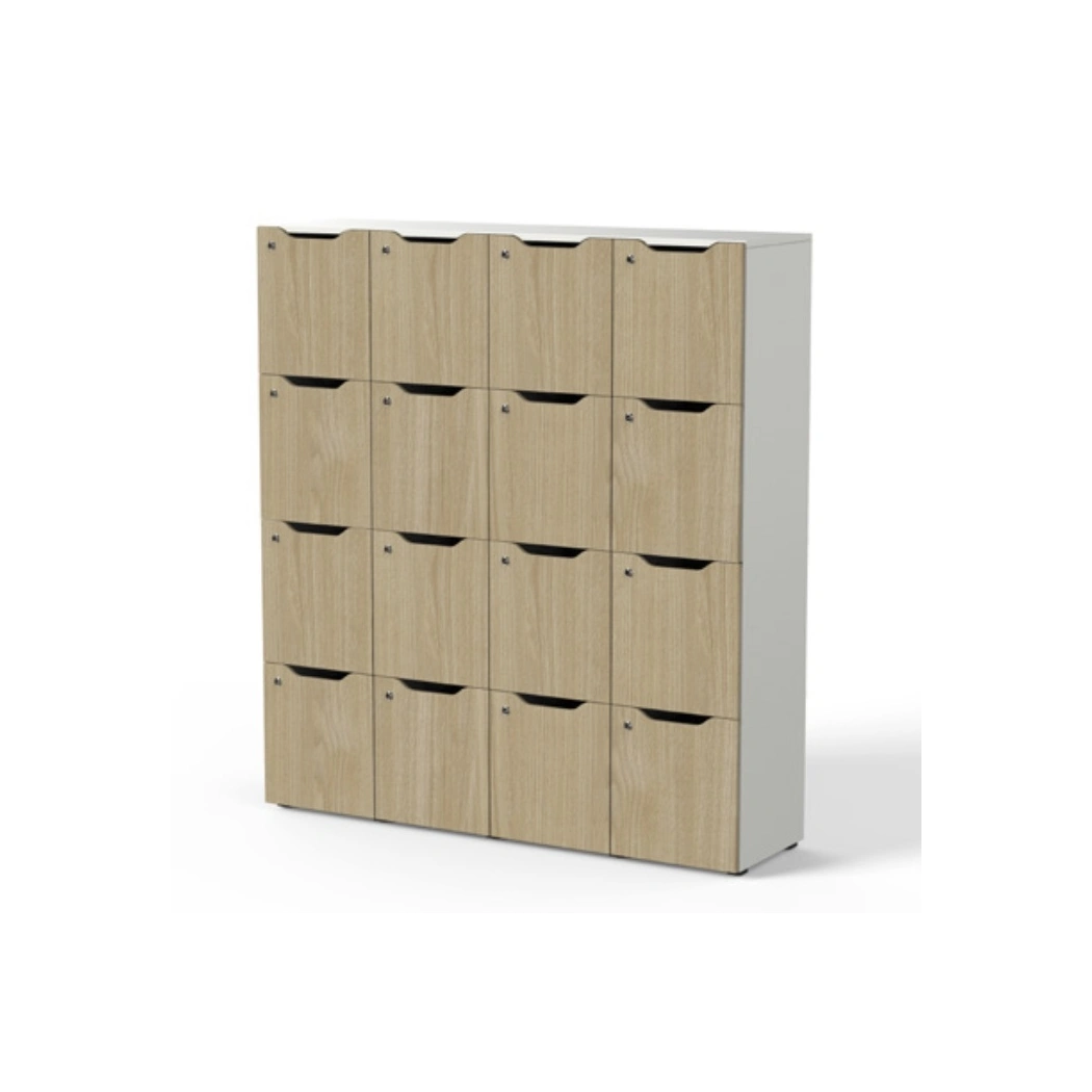 Locker S10 4x4 Office Storage w/Lock & Little Lettebox