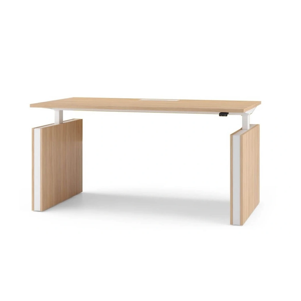 Motion 62.9 Electric Adjustable Office Desk w/3 Level Columns and Panel ...